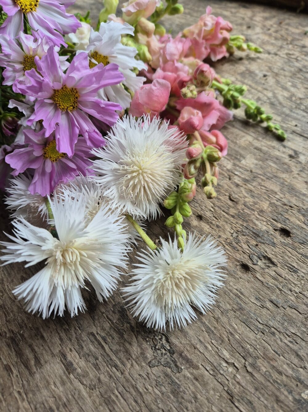 Selection Box (24 stems) - Petalon