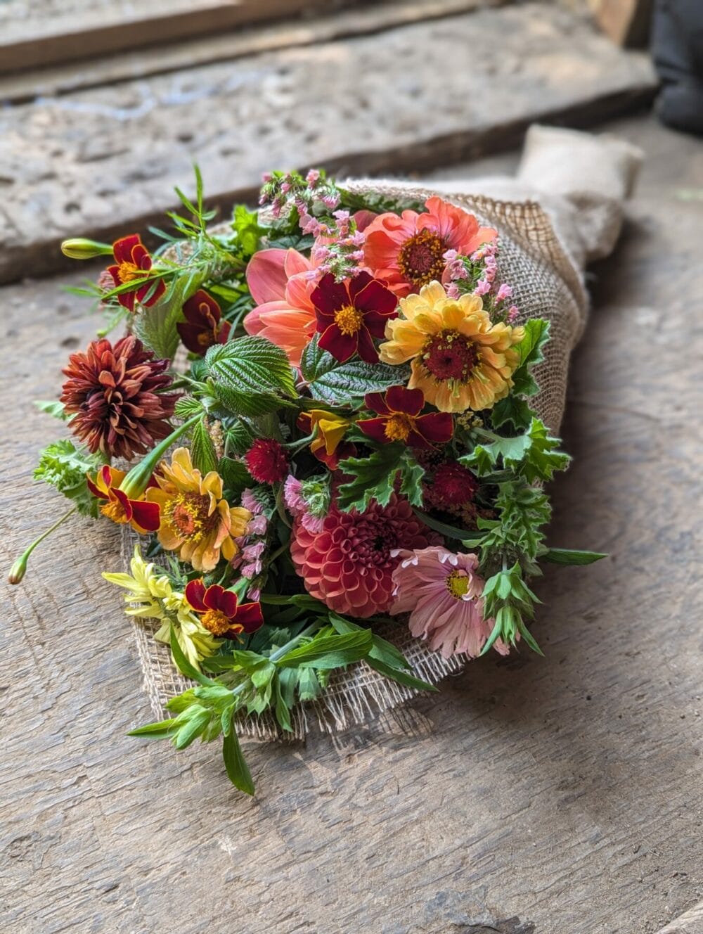 Florist's Pick - Petalon