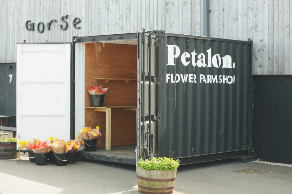 Our Little Outlet in Cornwall - Petalon