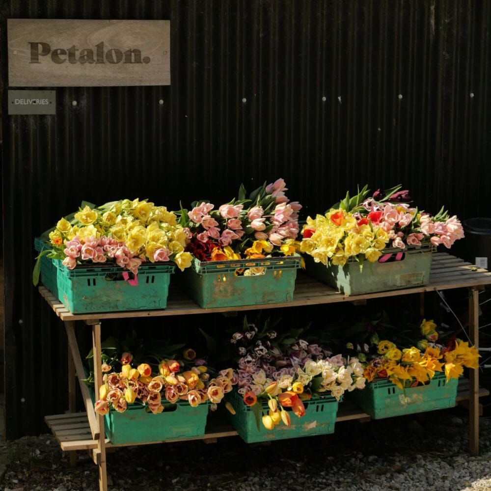 Three Reasons We Grow Flowers - Petalon