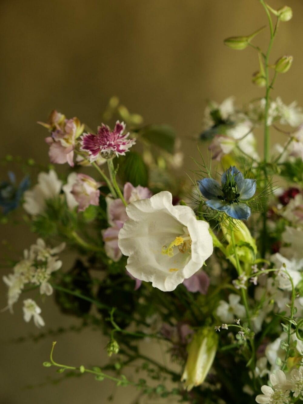 Florist's Pick - Spring Mix 006 - Petalon